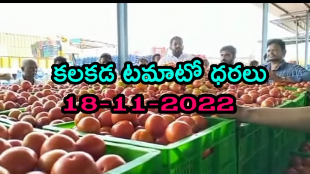 kalakada tomato prices - YouTube