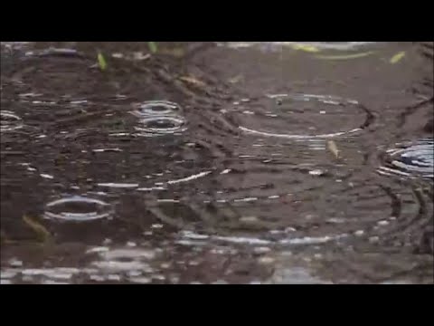 Relaxing water drops sound | meditation music | Nature sound | Healing ...