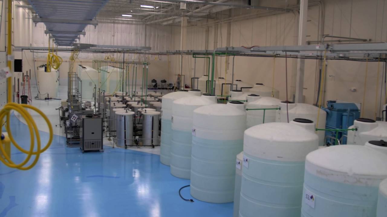 ASEA Case Study - SnapFulfil Warehouse Management System - YouTube