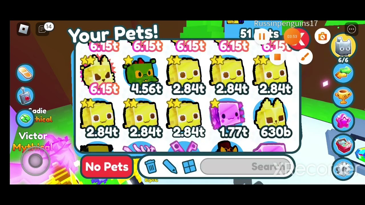 ROBLOX PET SIMULATOR - YouTube
