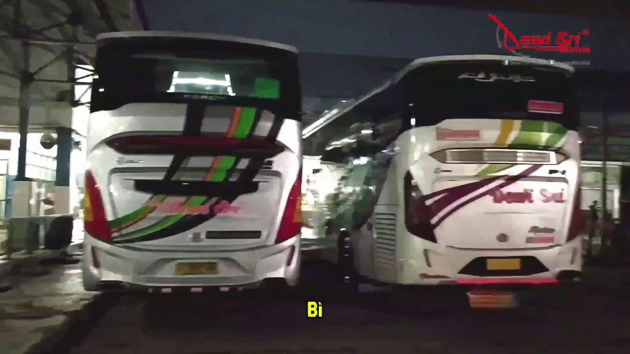 PENGUASA TERMINAL TEGAL - YouTube