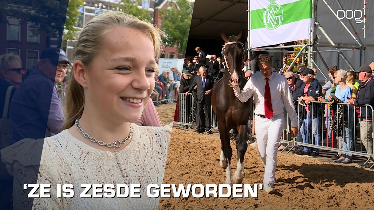 Groningens Ontzet traditioneel met paardenkeuring op de Ossenmarkt: ‘Ze ...
