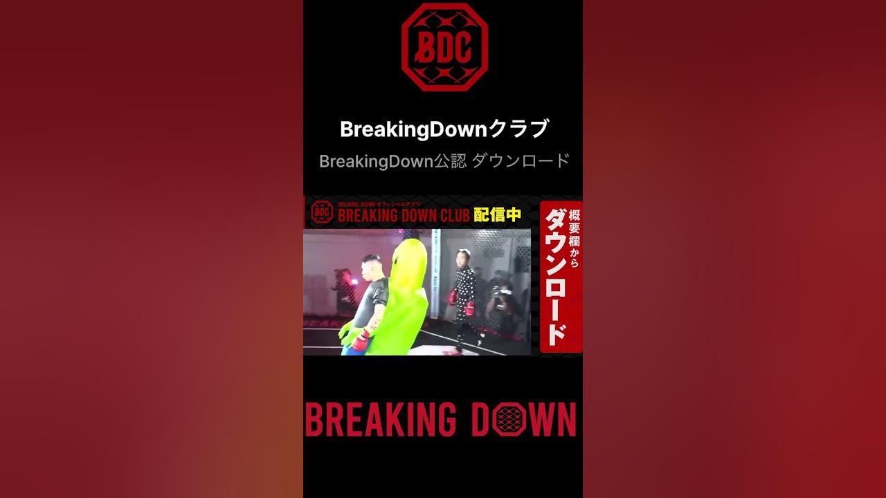 【ひろゆき ブレイキンがダウン】2対1で相手をボコボコ ブレイキングダウン選考会【格闘技 総合格闘技 ブレイキングダウン 朝倉未来 朝倉海