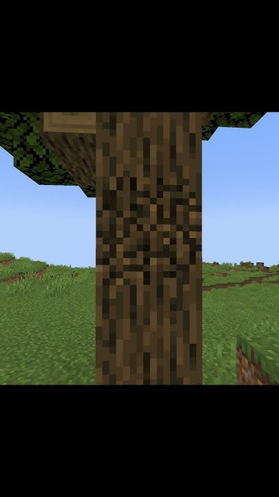 💥 This Minecraft Mod Changes EVERYTHING! (Cool Mods Part 2) - YouTube