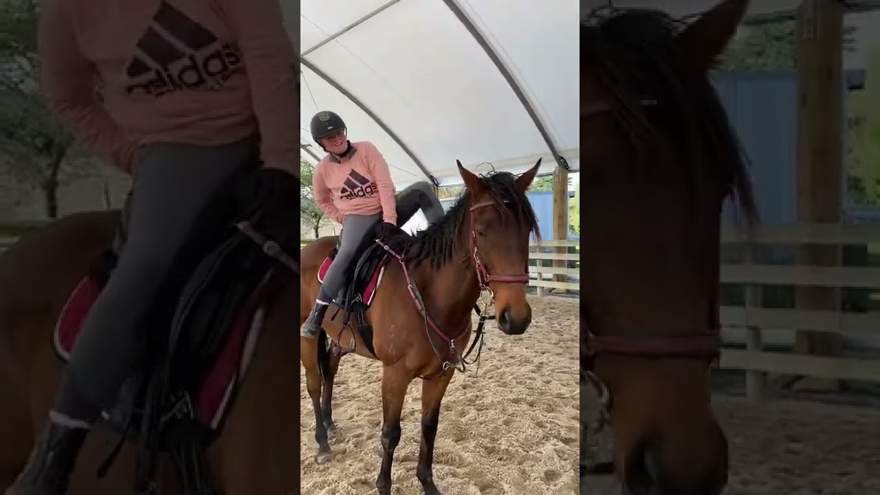 Val 12/6/22- Flatwork - YouTube