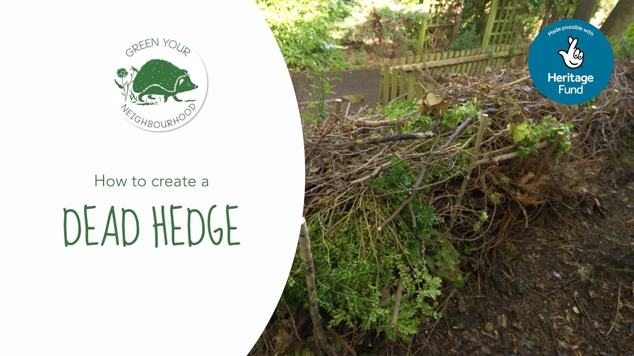 How to Create a Dead Hedge | Green your Neighbourhood - YouTube