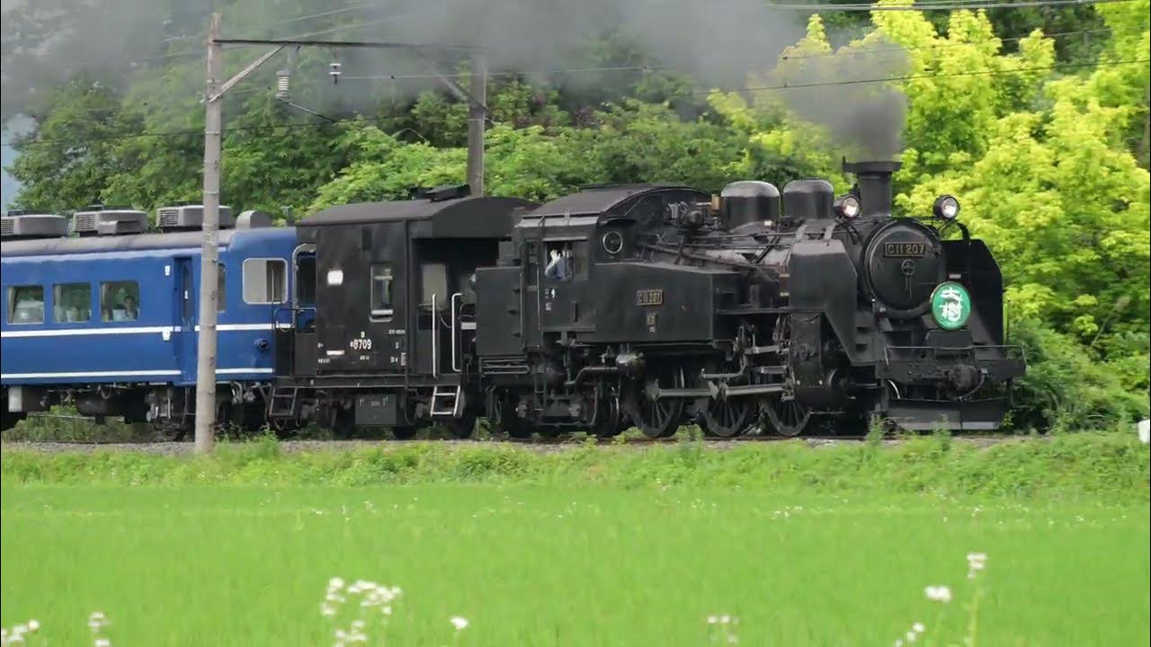 【初夏の倉ヶ崎】東武鉄道C11-207「SL大樹」上り6号、スペーシアXほか通過！ Tobu-Railway Steam locomotive C11 'SL Taijyu' 2024.6.8 ...