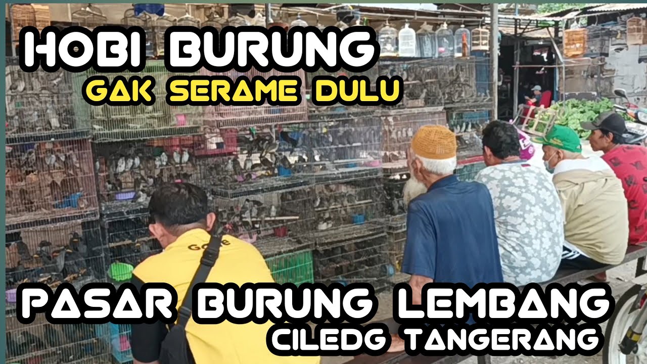 Hobi Burung‼️Kios Burung Pasar Lembang Ciledug Tangerang Gak Serame ...