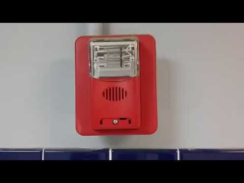 Gentex Commander 1 Fire Alarm - YouTube