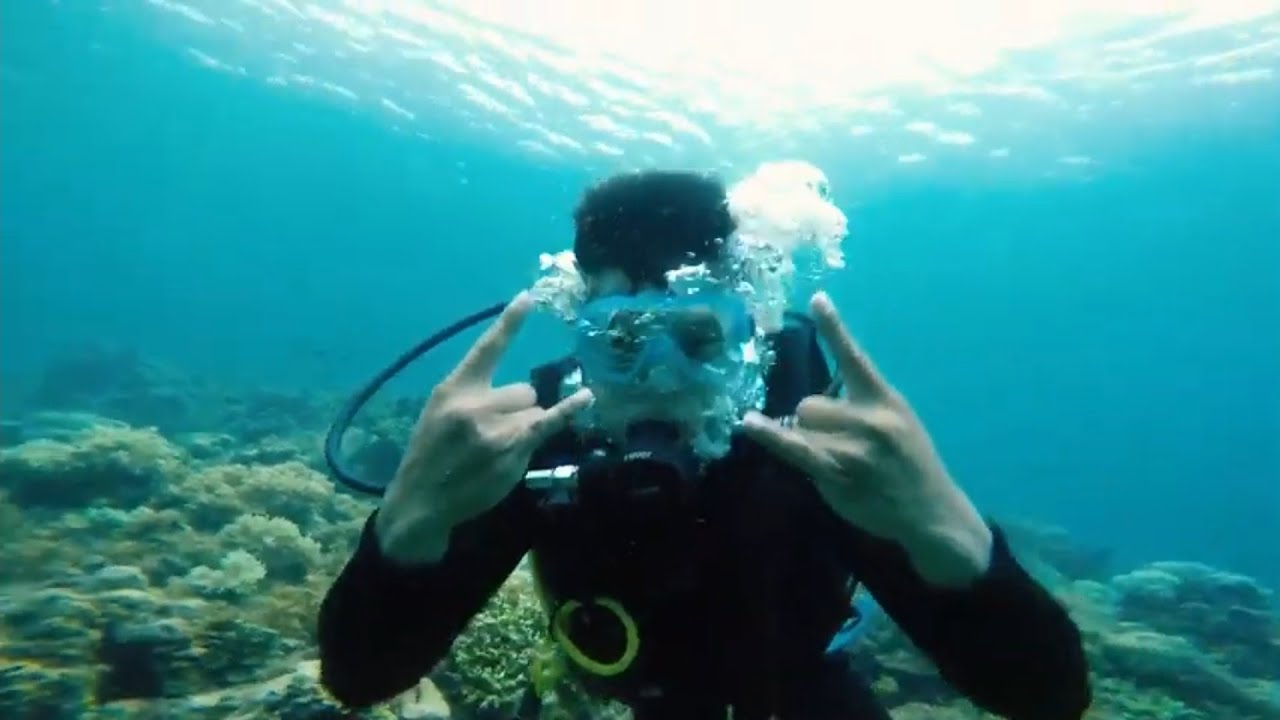 The Best of Cabilao Island, Loon, Bohol | Scuba Diving - YouTube