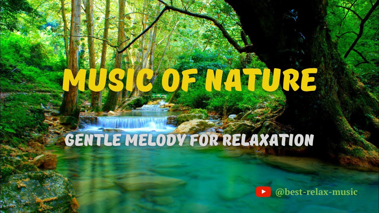 Music of Nature! Gentle melody for relaxation! - YouTube