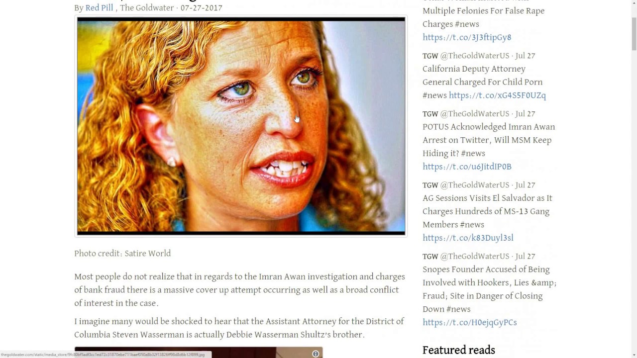 Imran Awan Case Overseen by Debbie Wasserman-Schultz Brother #DNC Cover ...