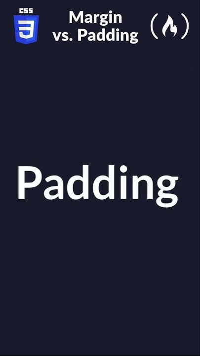 CSS Tutorial – Margin vs Padding - YouTube