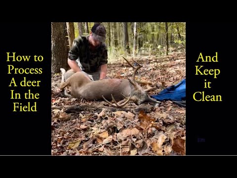 **EDUCATIONAL** How to debone a deer in the field and keep it clean ...