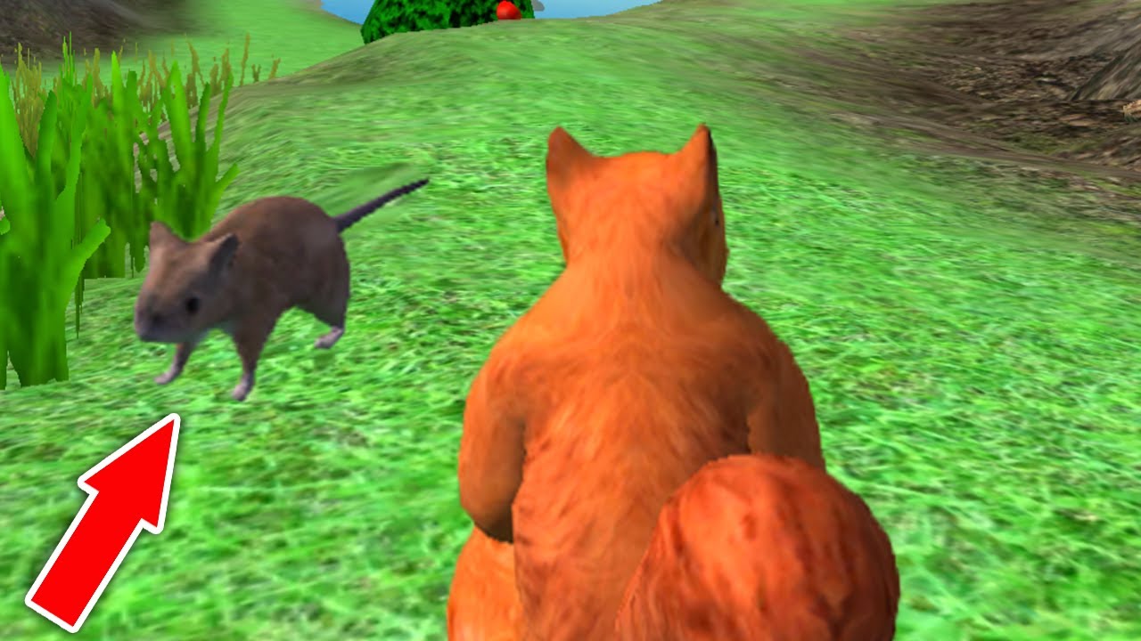 СИМУЛЯТОР БЕЛКИ #3 ЗИМА СКОРО и ОХОТА НА МЫШКУ в Squirrel Simulator ...