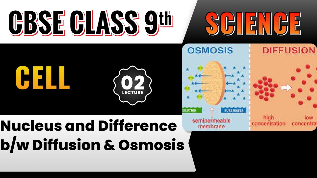 Cell | Nucleus and Difference b/w Diffusion & Osmosis - L02 | 9th ...