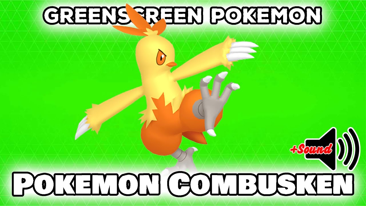 Pokemon Combusken | GreenScreen | Pokémon GO | 👍POGOTUBE - YouTube
