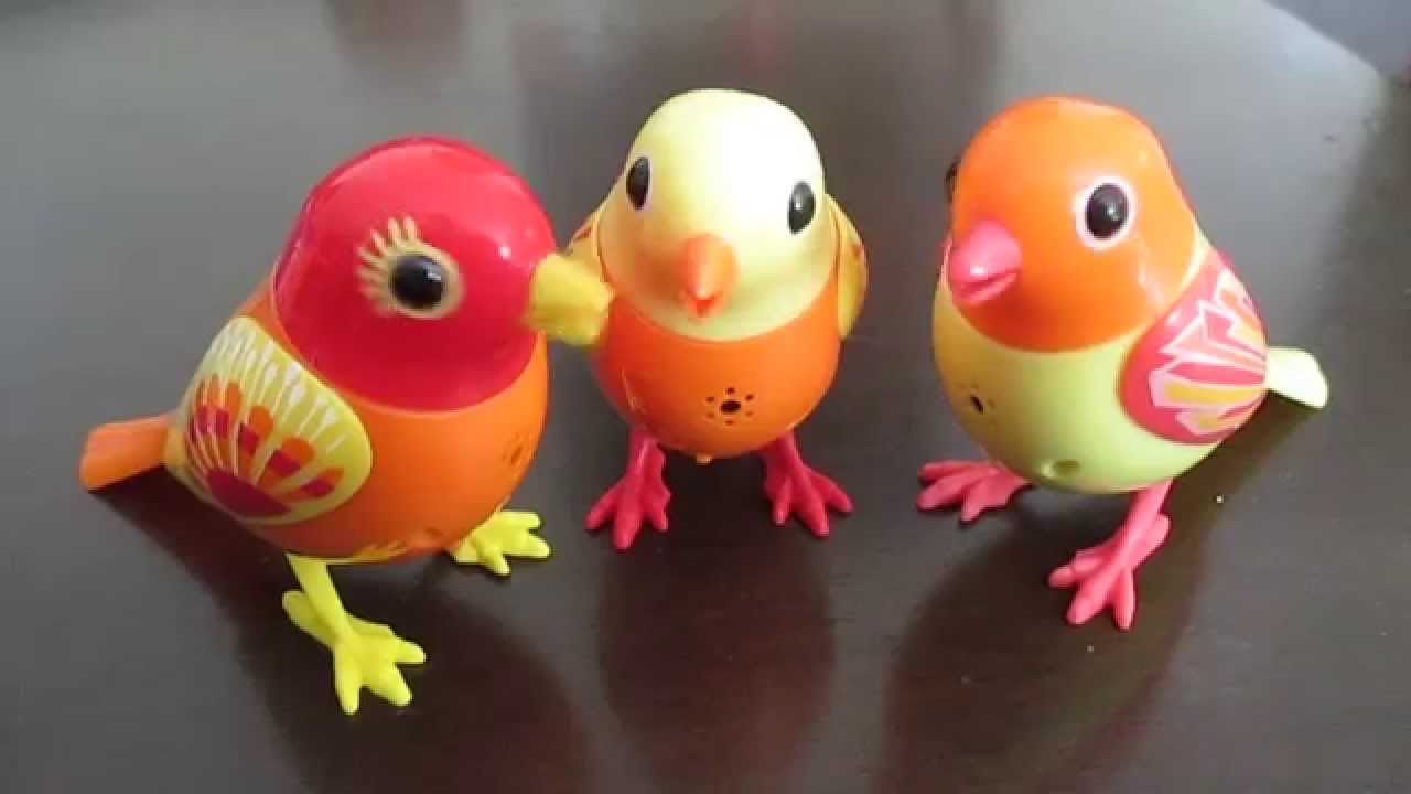 DigiBirds 3-Pack - Choir Mode Tweeting - YouTube