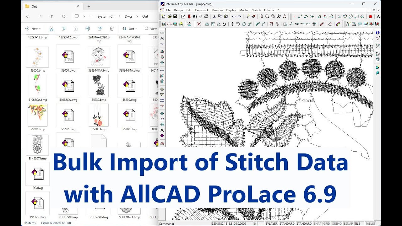 Bulk Import of Stitch Data with AllCAD ProLace 6.9 - YouTube