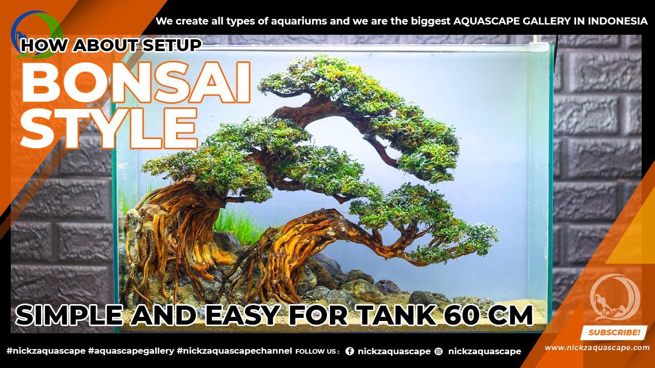 INSPIRASI BONSAI STYLE || HOW SETUP BONSAI STYLE TANK 60 CM - YouTube