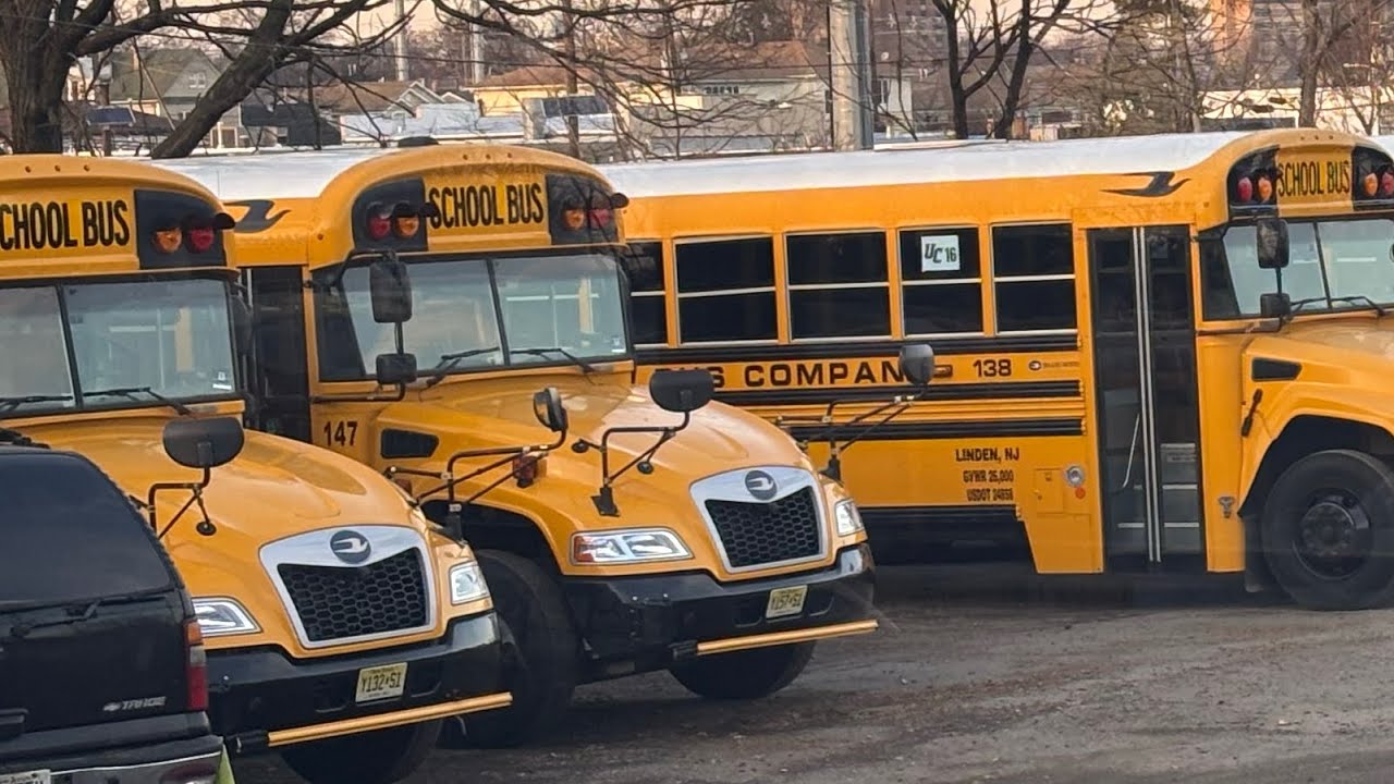 Villani bus- 151 Driving In a 2023 Bluebird Vision School Bus Afternoon ...