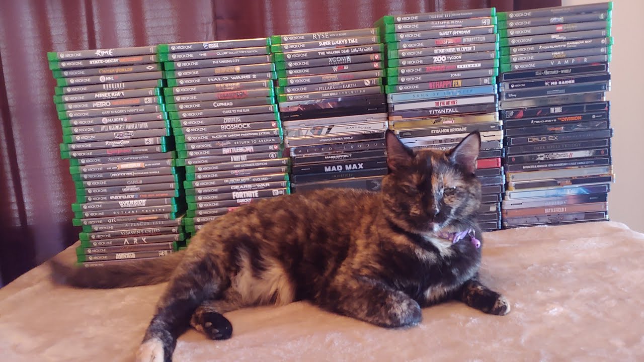 2020 Xbox One Game Collection (over 150 games) - YouTube