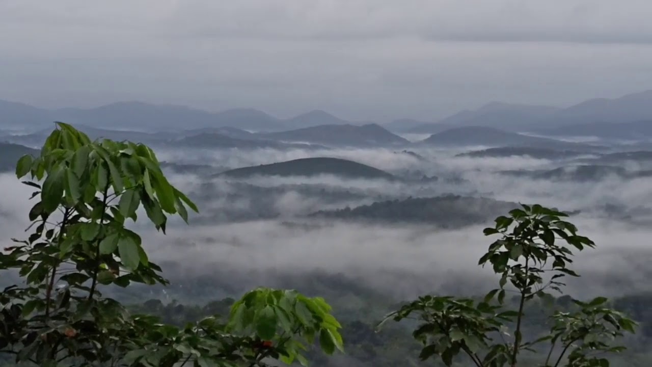 Pinnacle view point today morning - YouTube