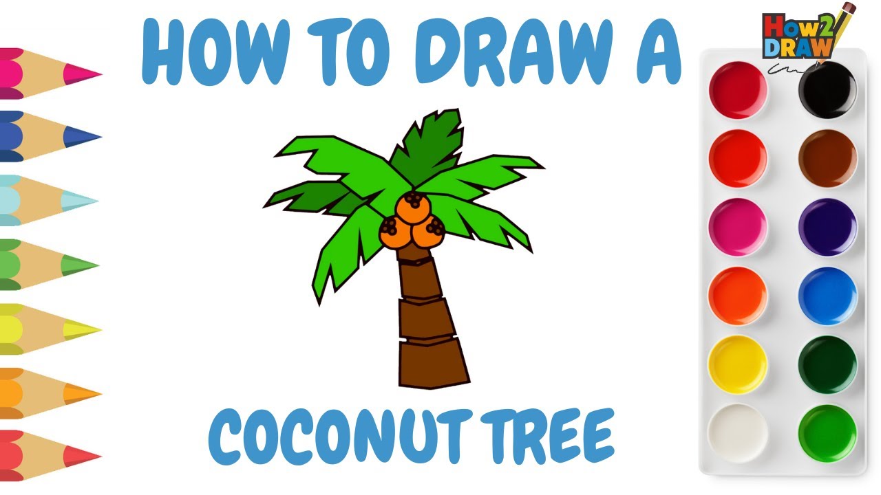 HOW TO DRAW A COCONUT TREE - YouTube