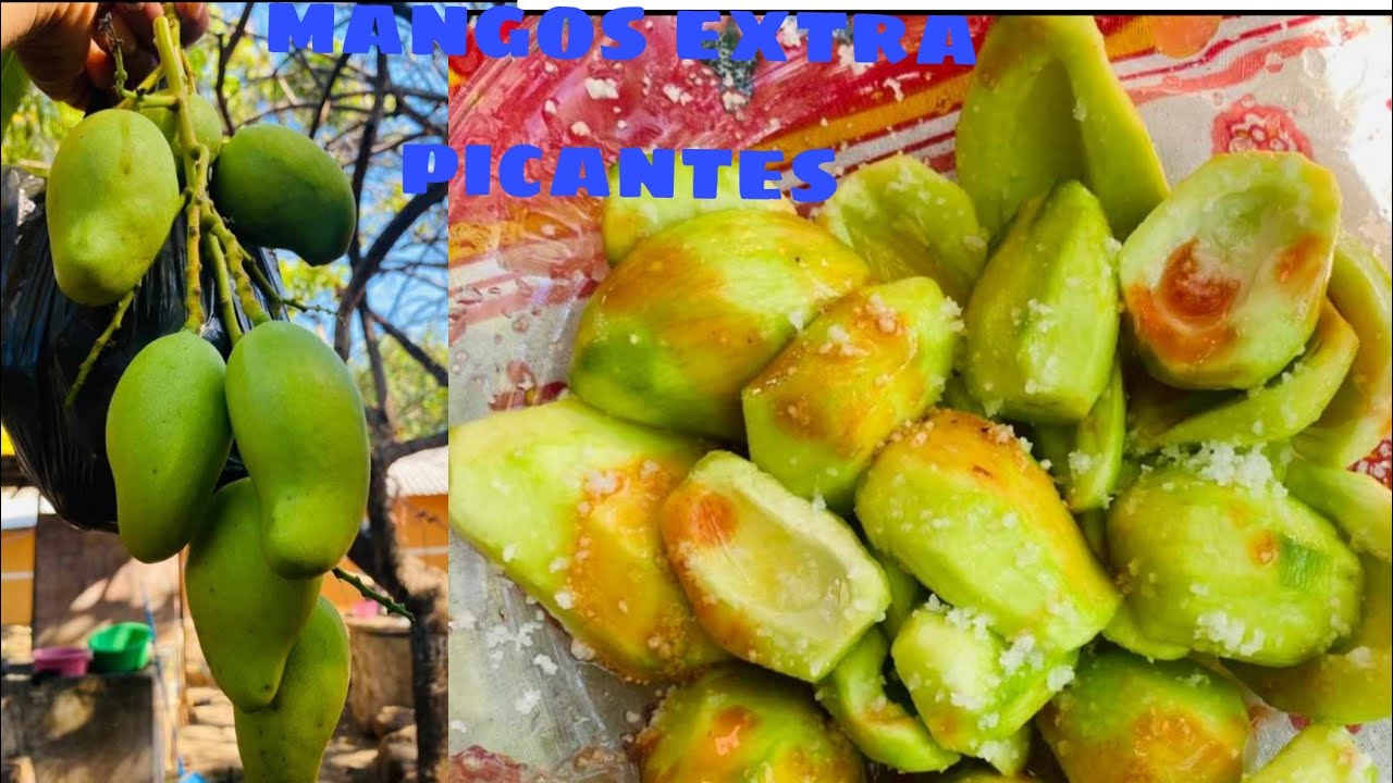 MUY RICOS MANGOS CON CHILE SAL Y CUBITOS - YouTube