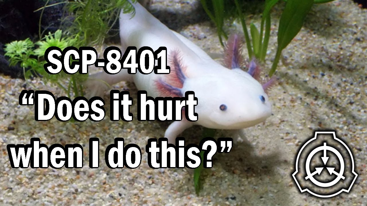 SCP-8401 "Does it hurt when I do this?" Keter [SCP Document Reading ...