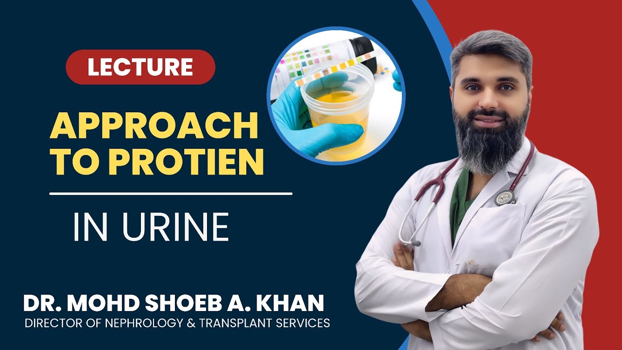 Protein in Urine? Causes, Tests & Treatment | Dr. Shoeb A. Khan ...