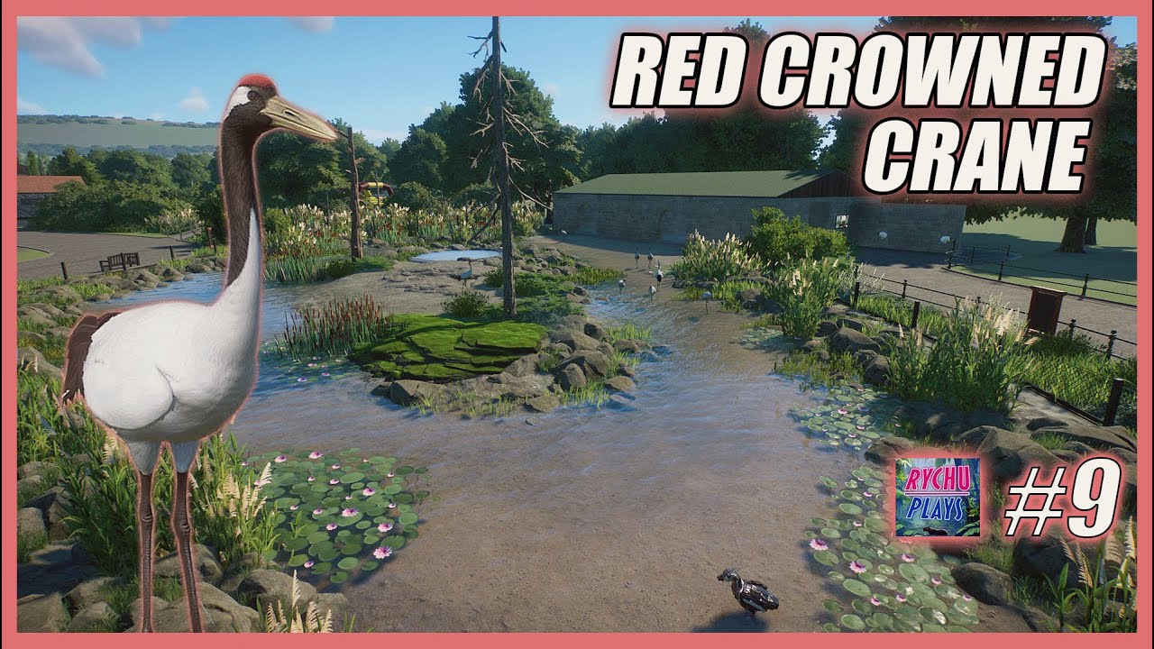 Red Crowned Crane Planet Zoo