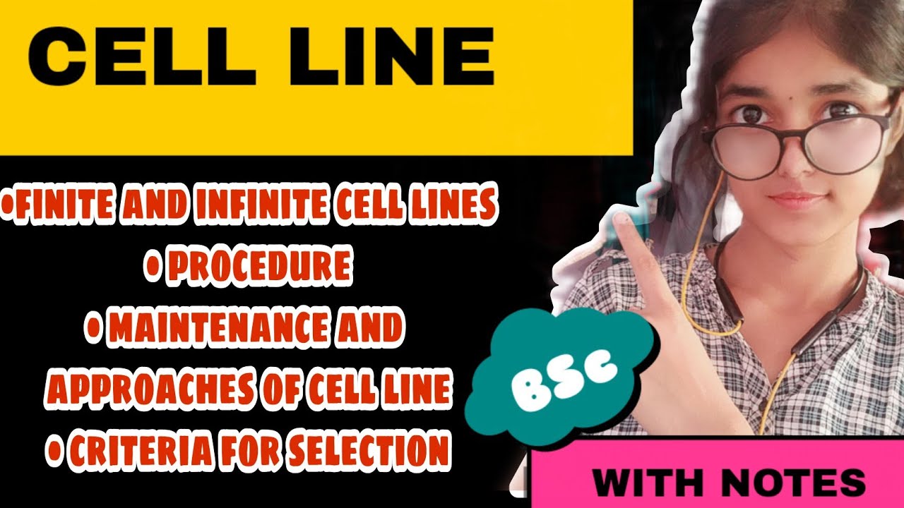 cell line | culture procedure | finite and infinite cell | animal cell ...