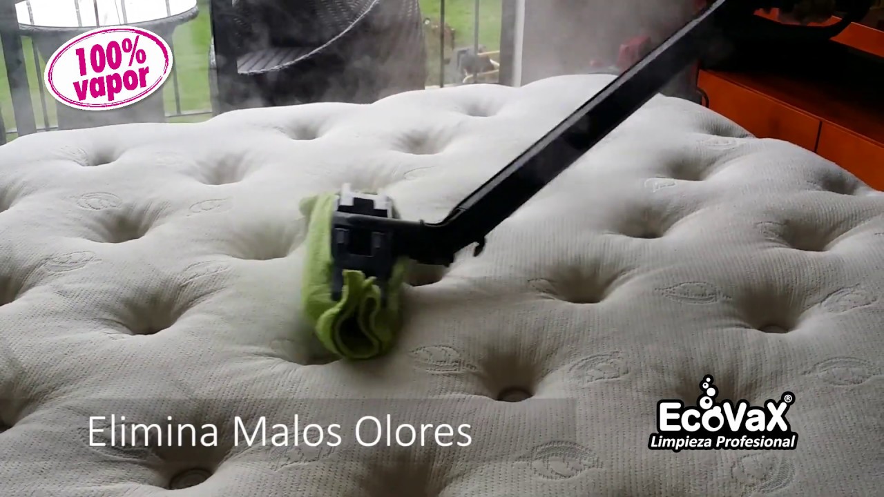 Lavado y Desinfección de Colchones ️ Limpieza Profesional 100% VAPOR ...