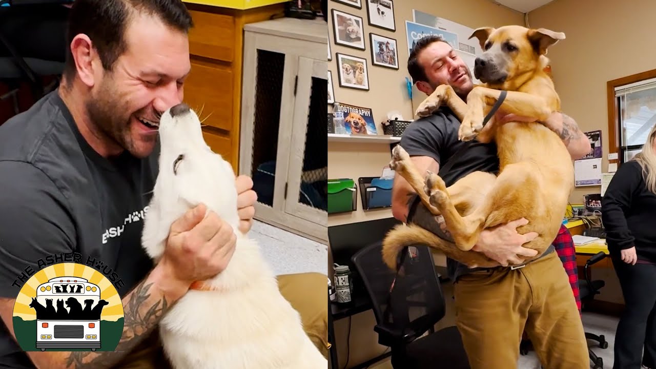 We went to rescue a sweet special needs dog and came back with Scooby ...