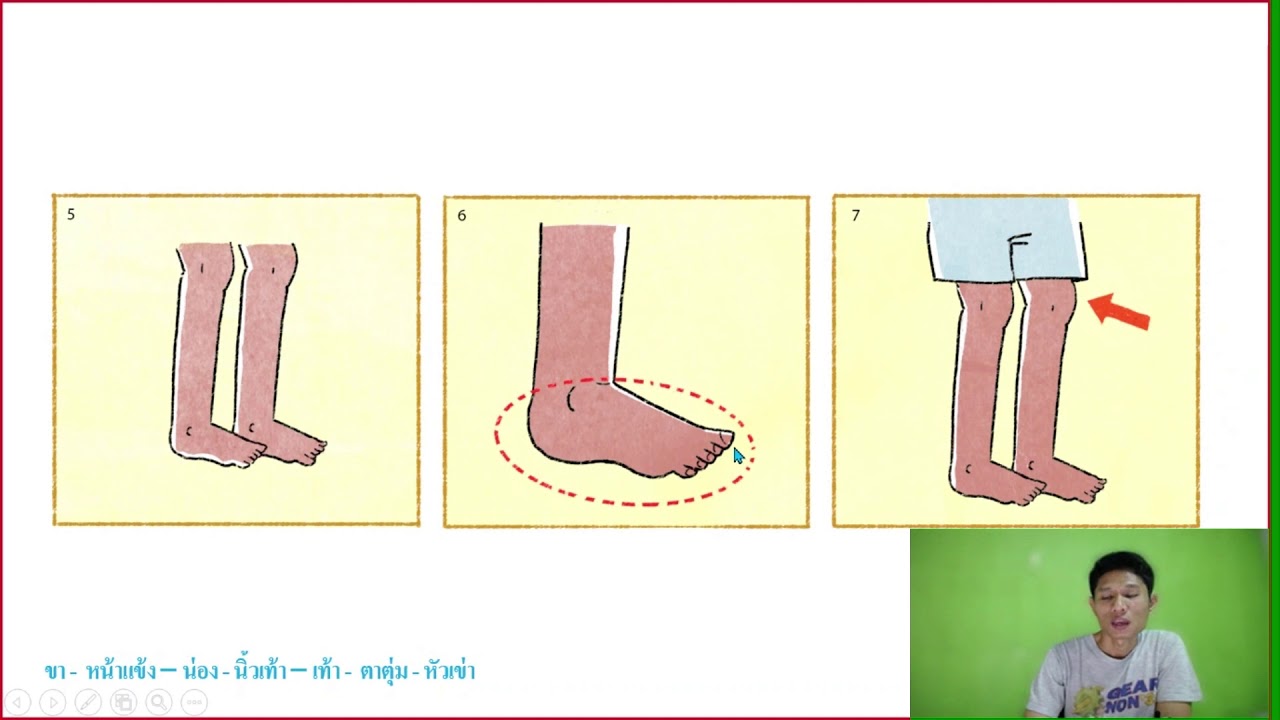 How do you say legs, knees, feet, and toes in Thai? with Kruu Arty 阿提老师 ...