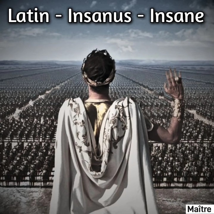 "Insane" Latin word origin #history - YouTube