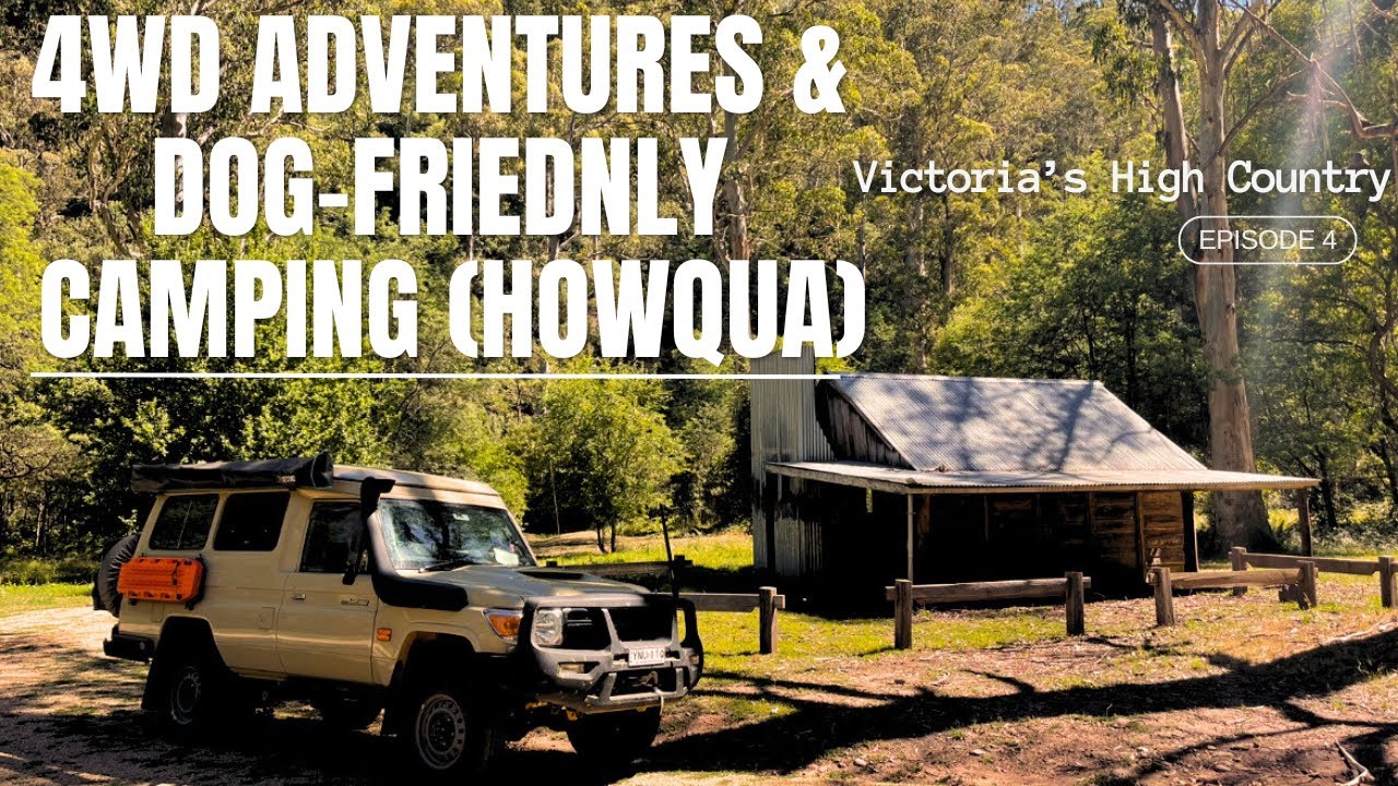 4WD Adventures and Dog-friendly Camping (Howqua) in Victoria’s High ...