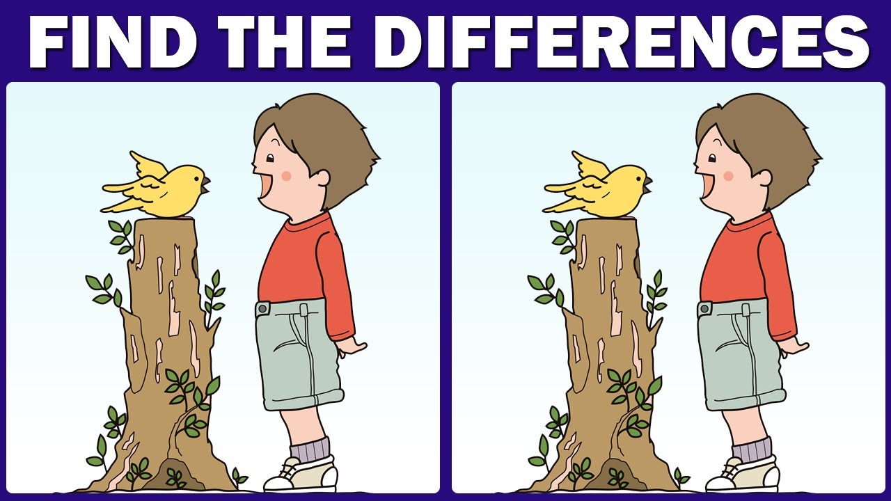 Find the Difference | Challange Puzzle Game 100 - YouTube