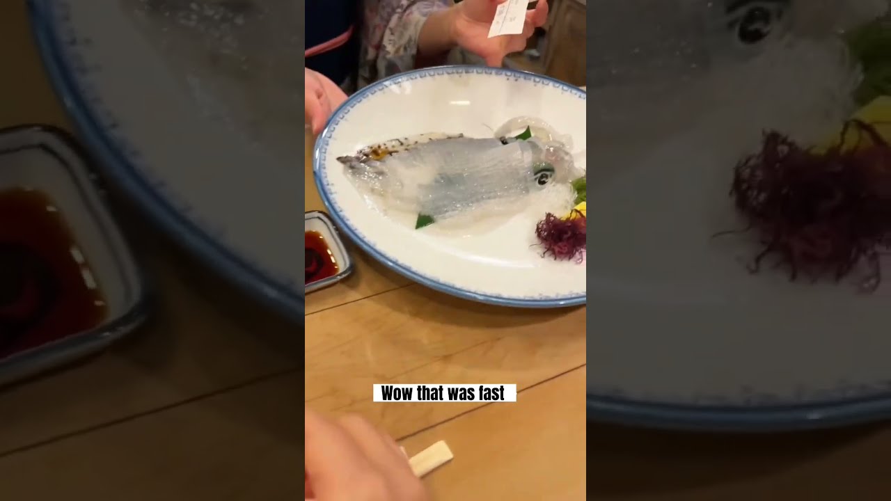 Eating Live Squid: A Culinary Adventure You Must Try - Discovermagz.blog