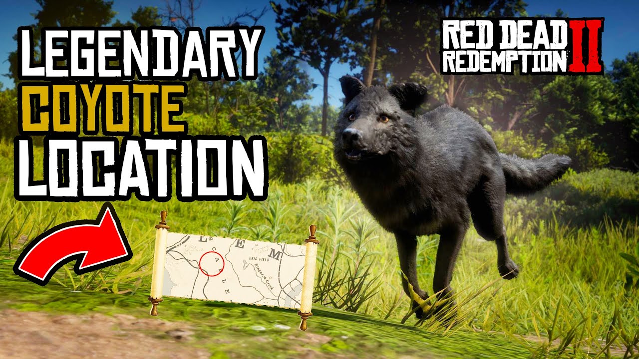 How to Find the Legendary Coyote in RDR2 - Legendary Animal Location ...