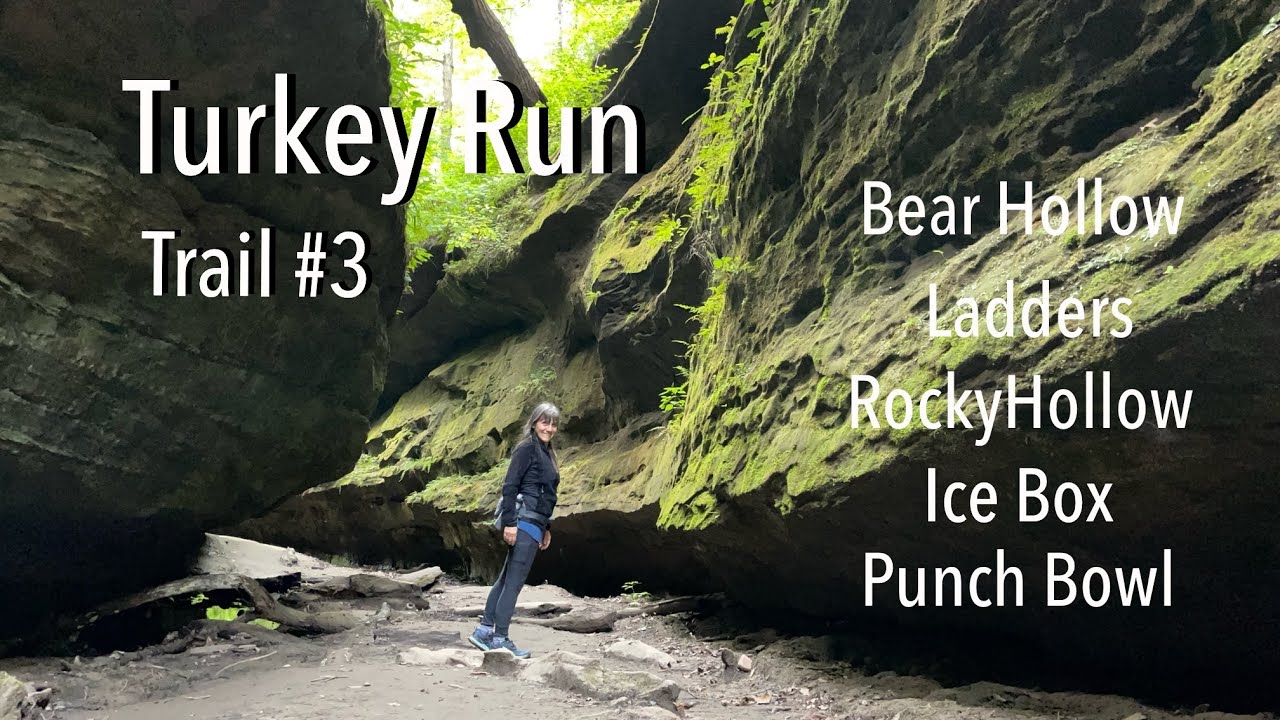 Exploring Turkey Run State Park in Indiana | Favorite Hiking Trail ...