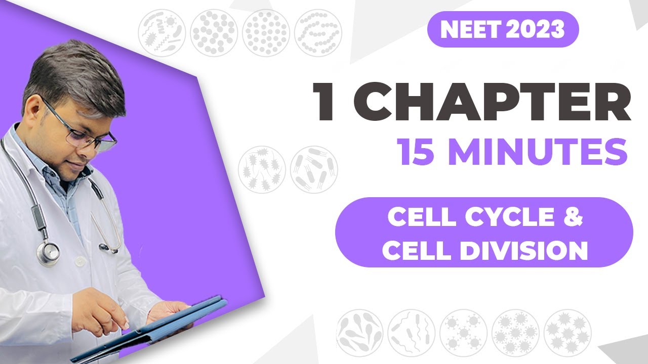 One Chapter In Just 15 Minutes Cell Cycle Cell Division Class 11 one-chapter-in-just-15-minutes-cell-cycle-cell-division-class-11
