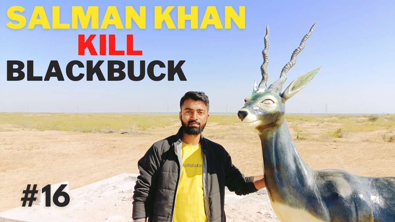 Blackbuck killed by Salman Khan #salmankhan - YouTube