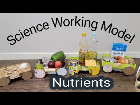 Nutrients ठेला Science working model TLM | Science Exhibition project ...