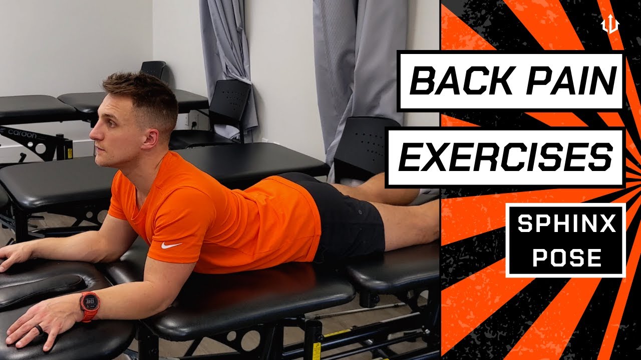 Sphinx Pose // Back Pain Physiotherapy Exercises - YouTube