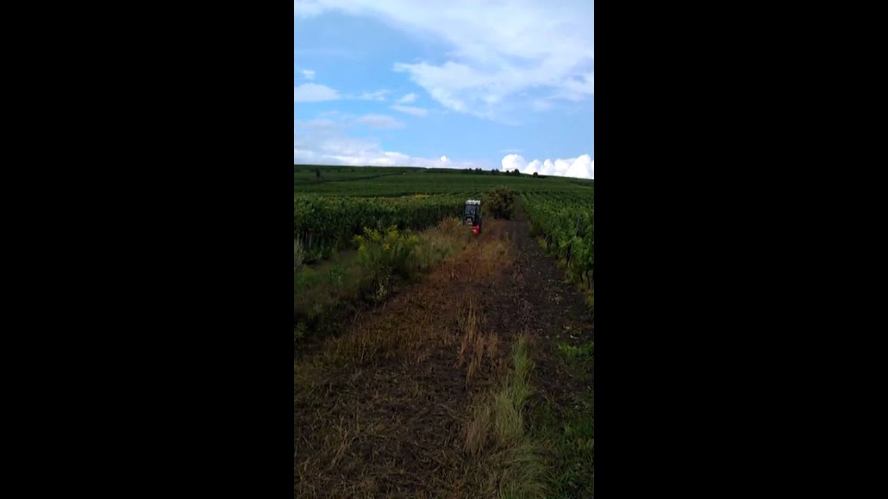 Fendt 280v + frontmulcher - YouTube