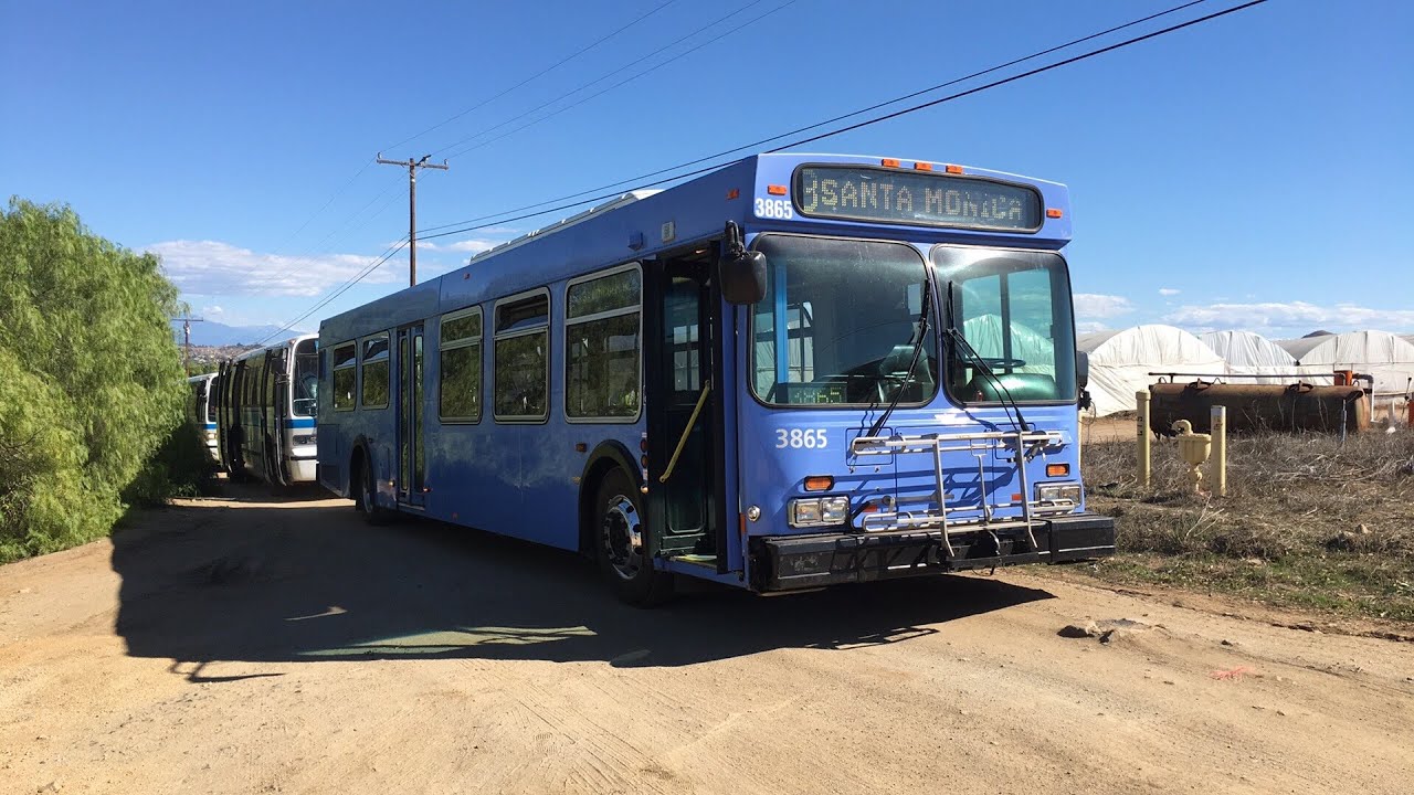 Ex Santa Monica Big Blue Bus 1997 New Flyer D40LF #3865 - YouTube