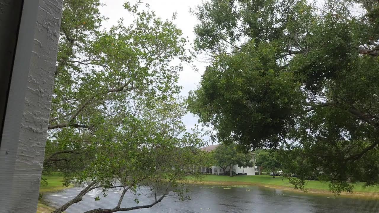 Live streaming of The Tan Man - YouTube