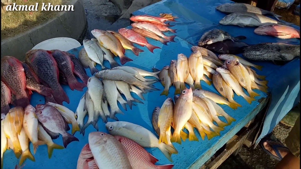Pasar Ikan Segar fresh Market Kota Banda Aceh - YouTube